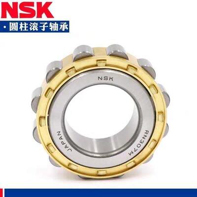 NSK轴承N303 304 305 306 307 308 309 310 311 312/EM/EW/ET/C3