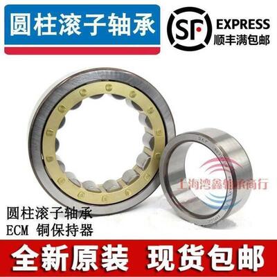 SKF进口N NJ NU 1021 1022 1024 1026 1028 1030 ECM ECJ ECP C3