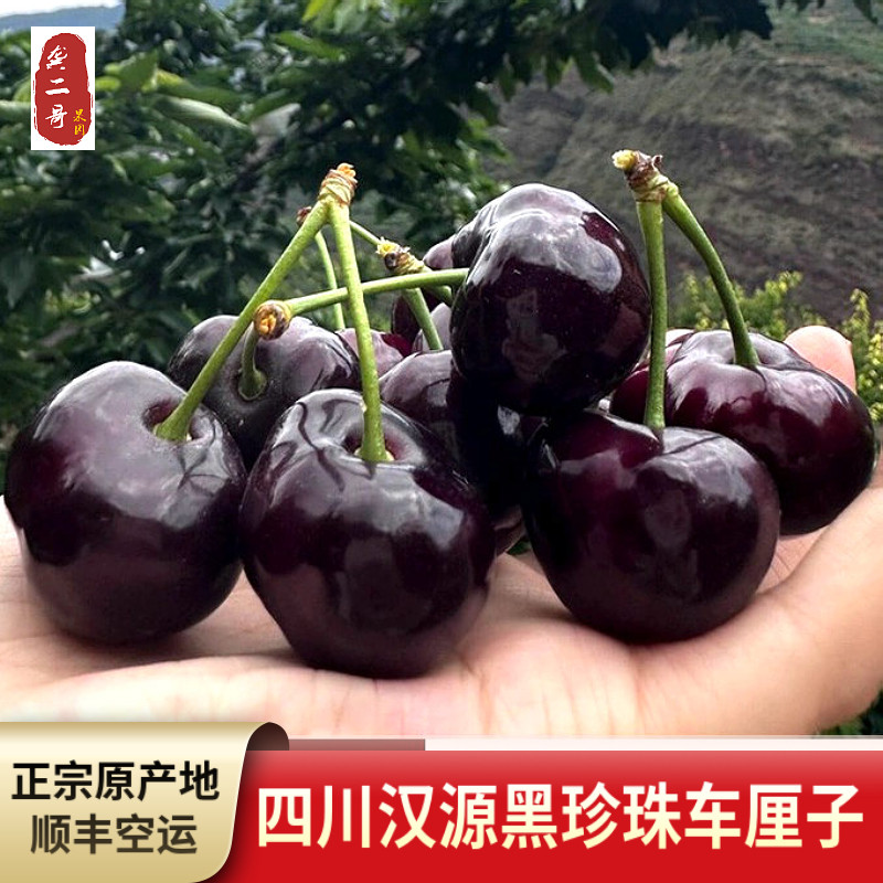 四川雅安汉源车厘子黑珍珠大樱桃套袋当季新鲜水果特大果顺丰空运