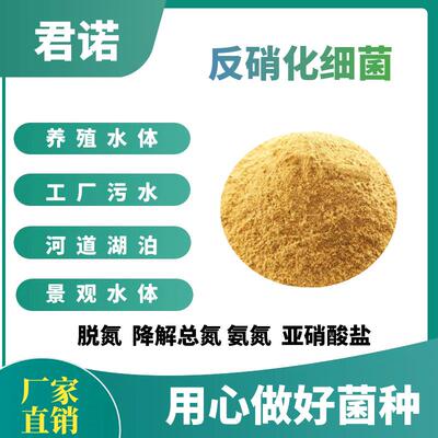 反硝化细菌降解总氮氨氮脱氮驯化污泥厌氧菌水产养殖污水处理河道
