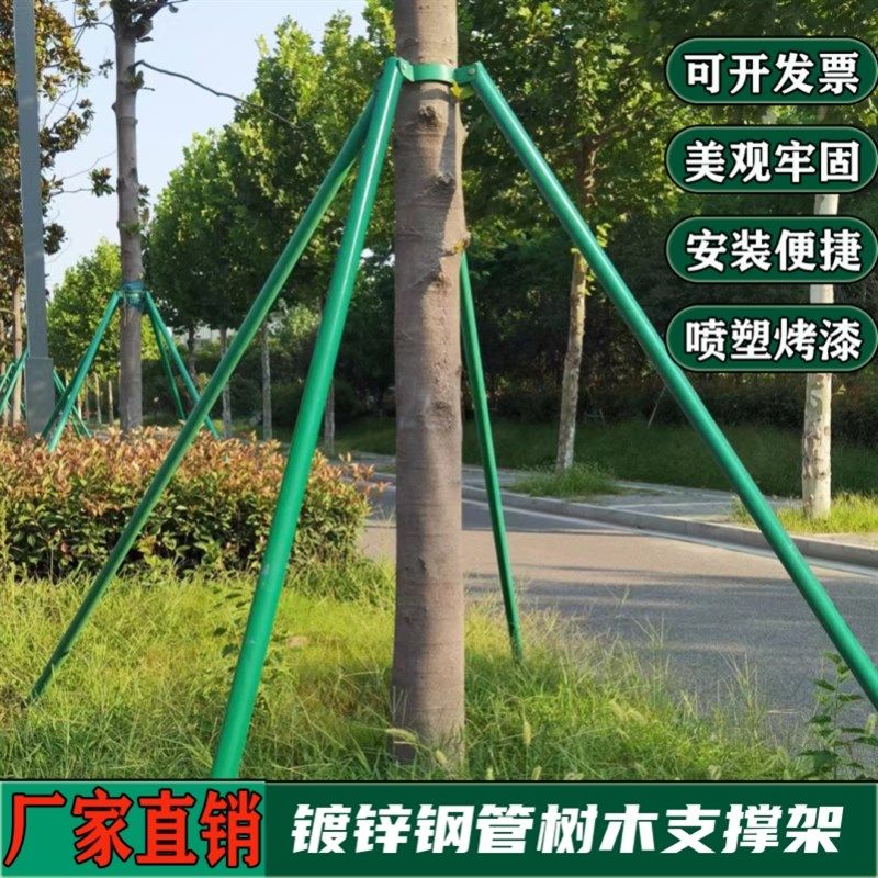 镀锌钢管树木支撑架园林绿化防风支架树木支撑杆行道树苗木固定器
