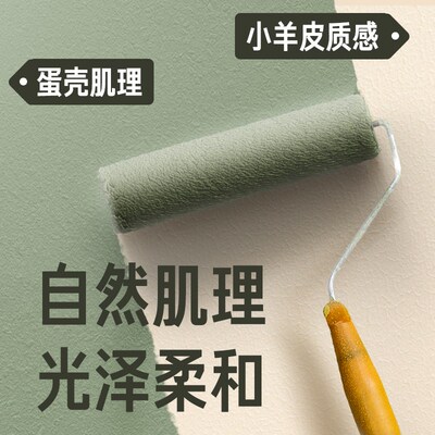 诗尔丹蛋壳光小羊皮环保艺术漆包工包料室内墙面涂质感肌理漆材料