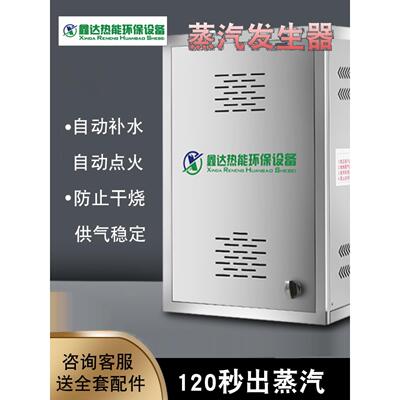 蒸汽发生器商用燃气豆腐煮浆蒸馒头包子酿酒蒸汽机蒸汽炉节能锅炉