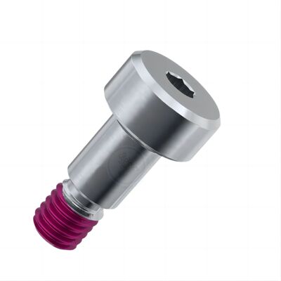 RAF Electronic 塞打螺丝 Shoulder Screws