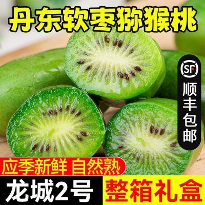 丹东软枣猕猴桃龙城二号新鲜水果小猕猴桃野生奇异果莓猕猴桃顺丰