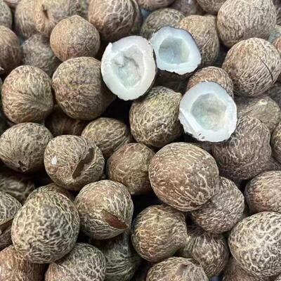 海椰皇印度小你椰子新鲜去壳海超汤小老椰青迷南DEK版椰子鸡高档