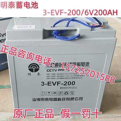 明泰蓄电池3-EVF-200观光旅游车
