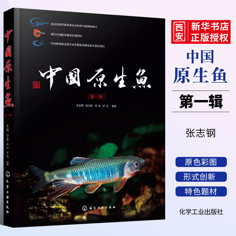正版中国原生鱼 第一辑 化学工业出版社 观赏鱼原生观赏鱼图鉴书淡水鱼类溪流冷水鱼观赏鱼 鱼类科普书海洋生物知识书籍