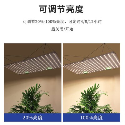 跨境led量子板植物灯全光谱可调光定时多肉补光上色灯 grow light