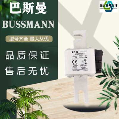 巴斯曼巴斯曼熔断器170M4262