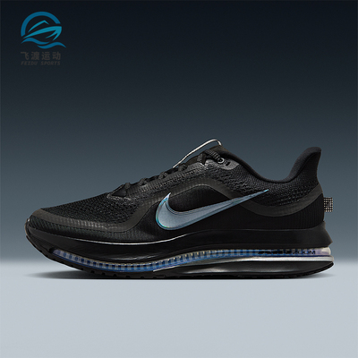 Nike/耐克正品Pegasus Premium男士运动公路训练跑步鞋HQ2592-005