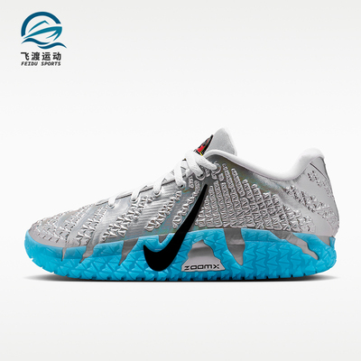 Nike/耐克正品Ja 3 EP男士休闲耐磨训练经典运动篮球鞋IU7239-002