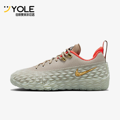 Nike/耐克正品男女同款舒适贴合低帮运动篮球鞋IO8062-001