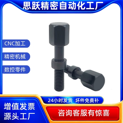 PAY21调整螺栓 AJSTC8-20/25/30/35/40/45/50/55/60/70/80/10