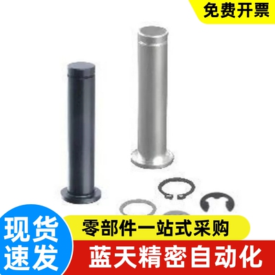 带肩铰链销轴CLBDG4-10