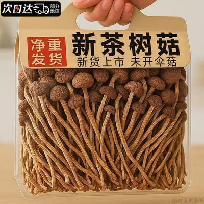 茶树菇干货甄选不开伞切根新货菌菇古田农家自产茶树菇食用菌