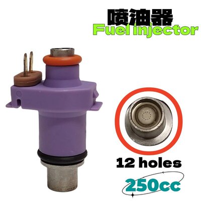 3C1电喷喷油器YAMAHA踏板摩托车12孔200/250cc线插燃油喷射器