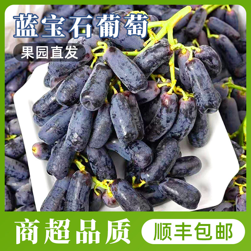 【顺丰包邮】云南蓝宝石葡萄新鲜现摘无籽黑提子手指葡萄应季水果