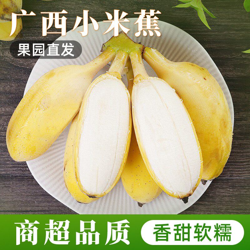 广西小米蕉香蕉芭蕉绿新鲜水果苹果蕉5斤自然熟当季青香蕉整箱