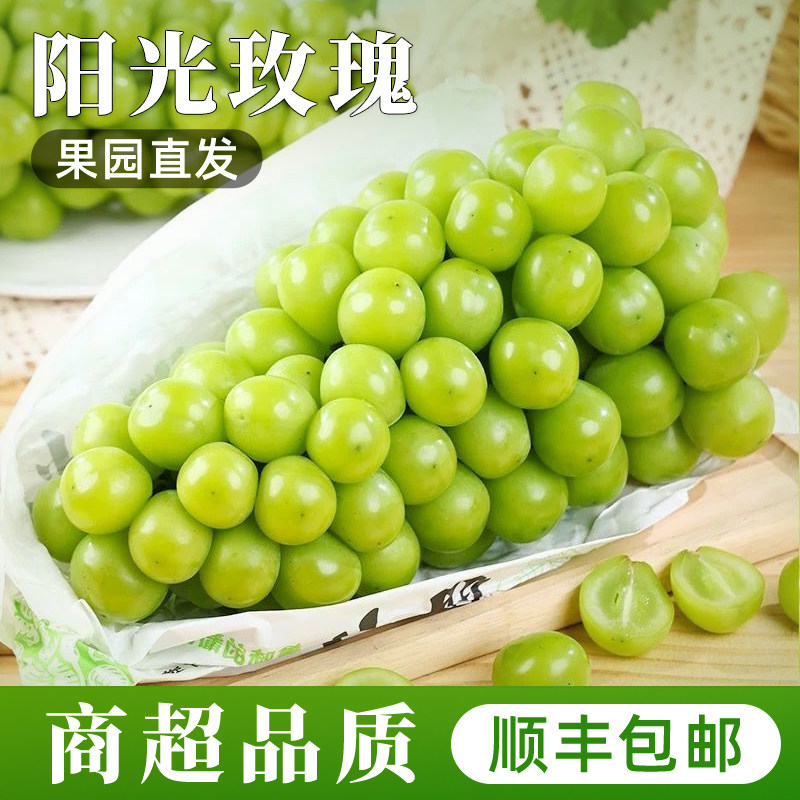 【顺丰包邮】四川阳光玫瑰葡萄果园直发新鲜现摘青提葡萄提子