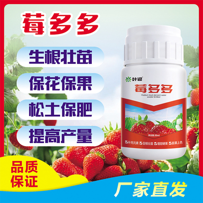 草莓膨大莓多多草莓专用膨果素增甜提质增产促根壮根促花促果老大
