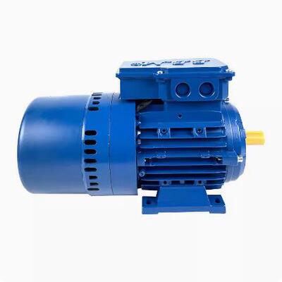 进口BBM刹车电机 REBM112M4 4P 4KW B5/B14法兰安装 刹车马达