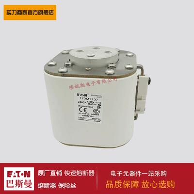 熔断器170M7227 170M7228 170M7229 170M7231 170M7235 170M7238