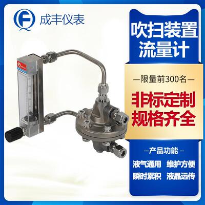 厂家直销吹扫装流量计恒流DXX流量计气体稳压流量减置压装置性计