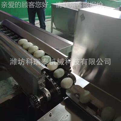 ZUB养殖场鸭专用洗鸡蛋蛋清机 连续作业自动清蛋品洗洗蛋机 清洗