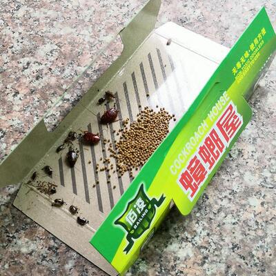 Cockroach House Total Elimination Home Use Safe for Pregnant