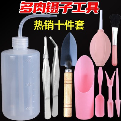 多肉工具套装不锈钢种植弯嘴水壶气吹刷子铲子桶铲起苗器园艺养花