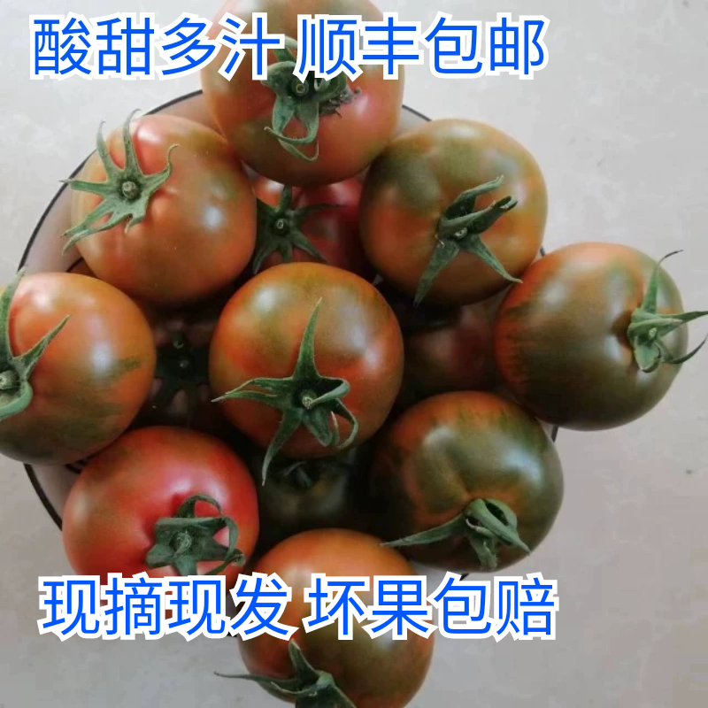 盘锦碱地西红柿丹东草莓柿子番茄铁皮柿子绿腚自然熟5斤包邮
