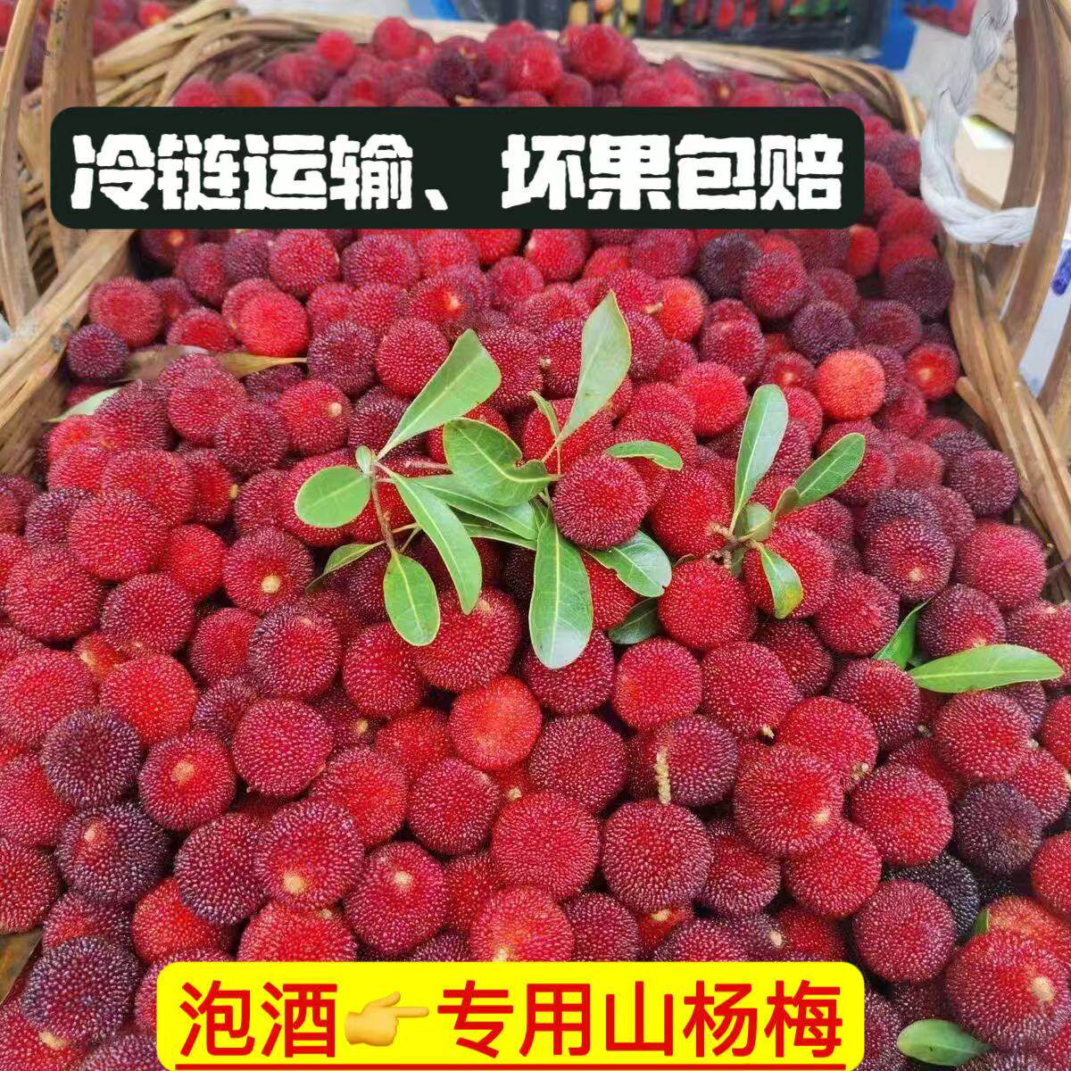 2026年顺丰包邮 杨梅新鲜现摘泡酒小杨梅贵州山杨梅鲜果孕妇水果