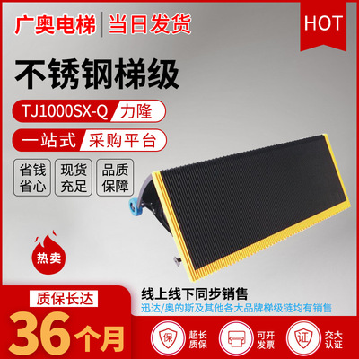 力隆 西尼  不锈钢 江南嘉捷不锈钢梯级TJ1000SX-Q L E电动
