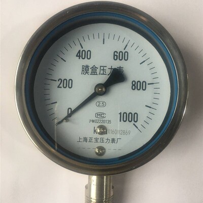极速YE100BF不锈钢膜盒压力表0-10w00Kpa 600kpa 400kpa200kpa250