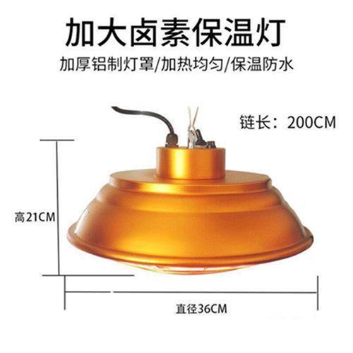 新品雏鸡温箱耐高温防q爆灯养殖卤素保温灯鸡仔恒温箱芦丁鸡新型