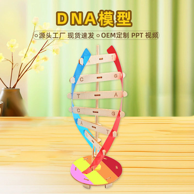 科技小制作手工diyDNA双螺旋结构模型人体基因生物科学实验器