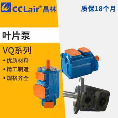 叶片泵20VQ4A5A6A7A8A9A25VQ10A11A35VQ21A45VQ2520VQ3520VQ4535