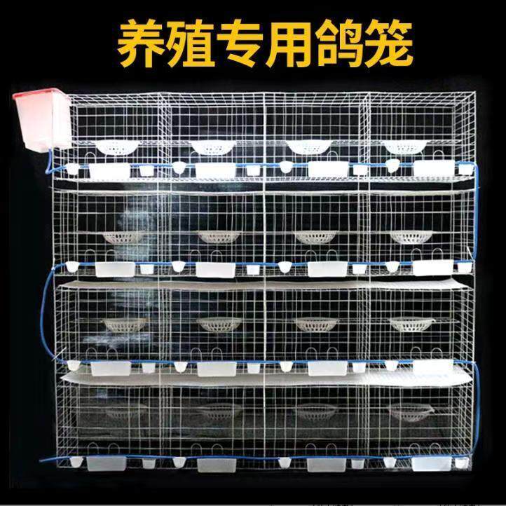 新款鸽子用品用具鸽笼子加粗12位16位养殖笼信鸽配对笼家用繁殖笼
