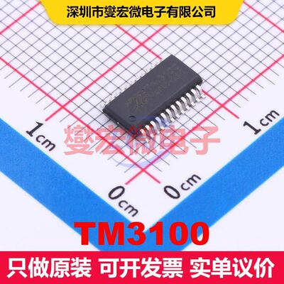 TM3100 QSOP-24 LED驱动器 电源管理 集成芯片IC