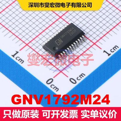 GNV1792M24 SSOP-24 显示驱动器 电源管理 集成芯片IC