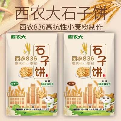 西农大836石子饼高抗性面粉