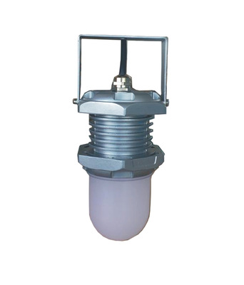 FW6325防爆行灯 海洋王防爆灯 船用检修灯 船用led照明灯具