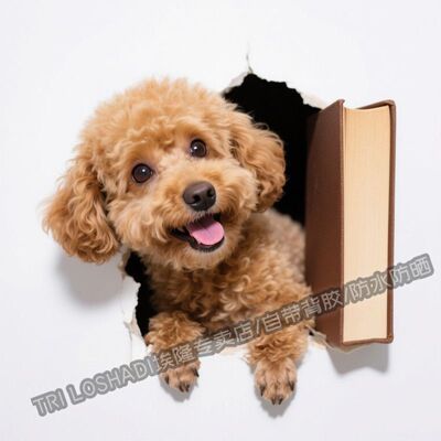 狗狗贴纸墙面贴墙泰迪狗狗爆款