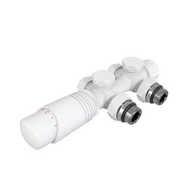 厂家直销连接恒温H型散热器阀，带有欧洲适配器 BJ13004