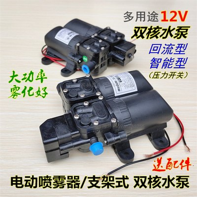 农用电动喷雾器水泵12V伏双泵大功率高压12V马达农药机高压水泵