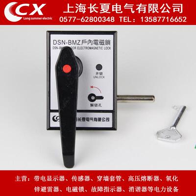 户内高压电磁锁DSN-BMZ BMY/AMZ(Y) I/Y(Z) DMY(Z)手柄式开关柜门