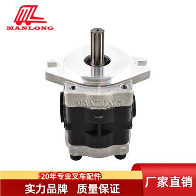 叉车配件液压泵10TDSG05A25F9H1-R206C电动叉车配件液压泵