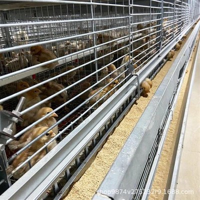 养鸡大棚 一万只n蛋鸡自动化立式养鸡设备蛋鸡笼养殖机械