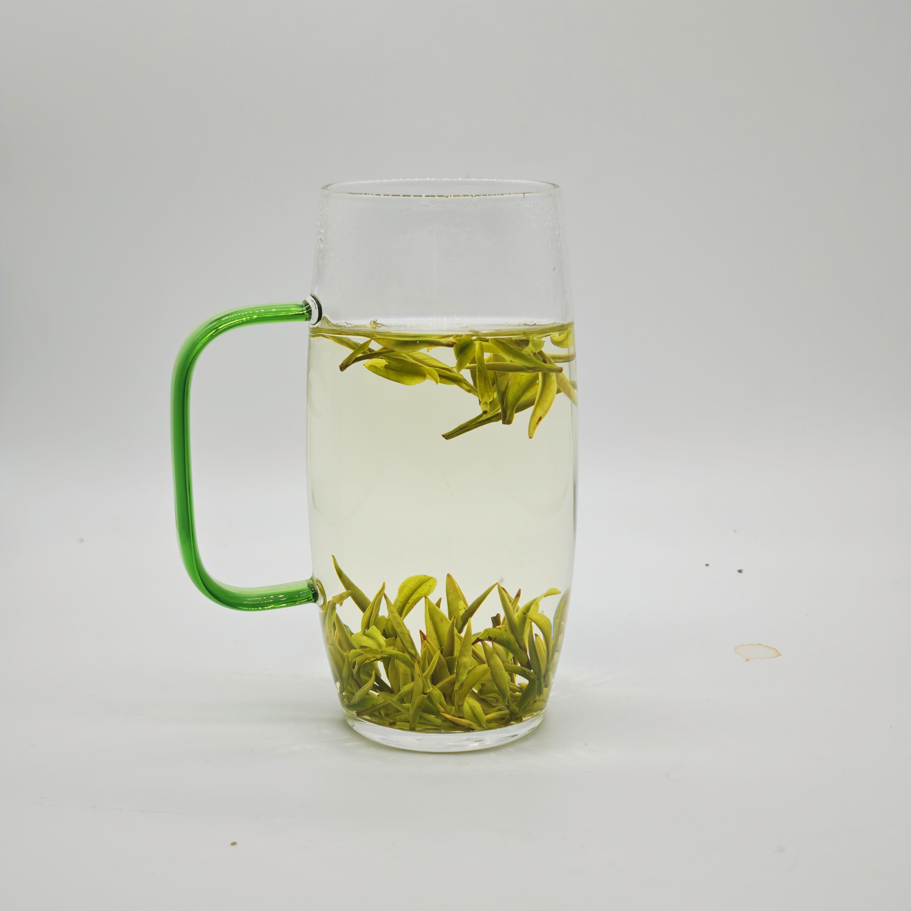 2026 安吉白茶 头采